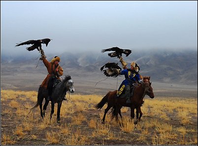 International Association for Falconry and Conservation of Birds of ...