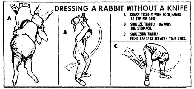 Dress a rabbit without a knife | Gentlemint