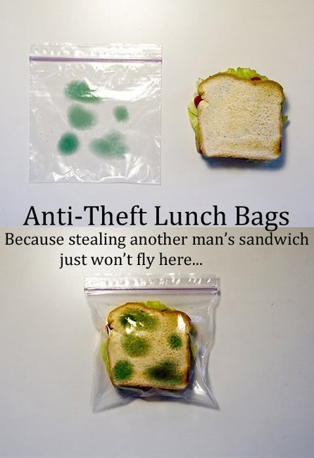 Anti-theft lunch bags - BRILLIANT! | Gentlemint