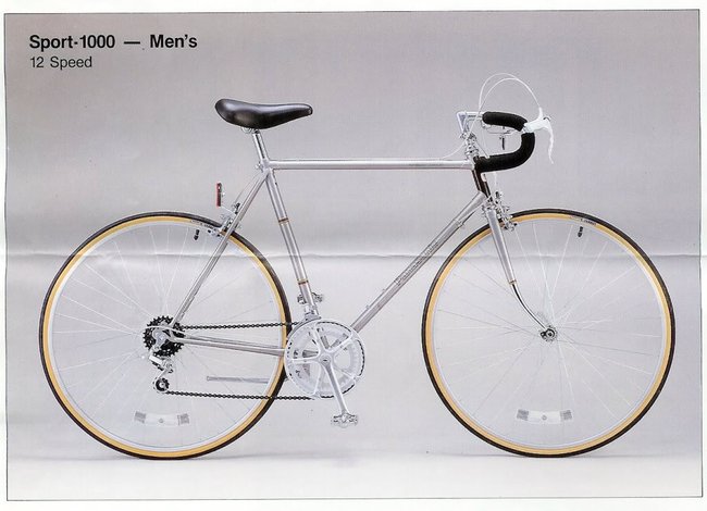 1979 Panasonic Sport Deluxe 12 speed | Gentlemint