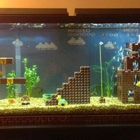 Super Mario Aquarium | Gentlemint