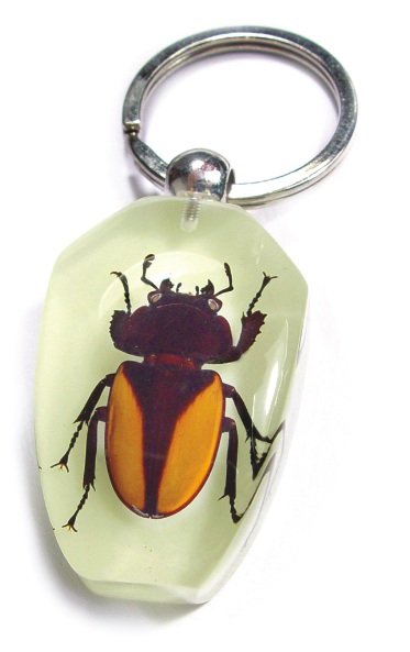 Kľúčenka YK 5808 Neolucanus parryi crystaltattoo | Gentlemint