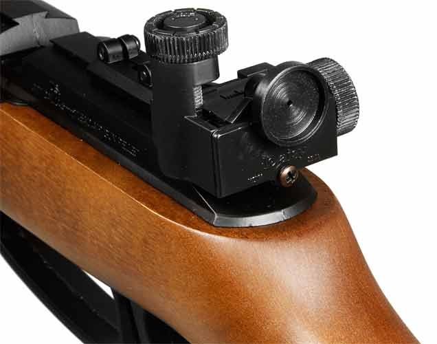 Daisy avanti 853 sights | Gentlemint