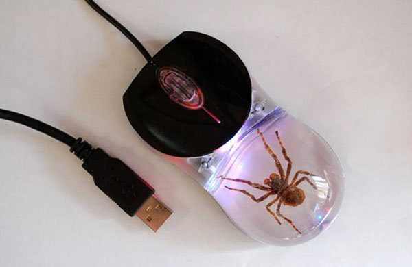 Spider Mouse | Gentlemint