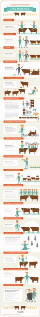 A Tale of Two Cows | Cool Daily Infographics | Gentlemint