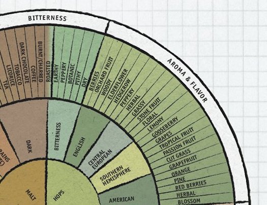 Daily Infographic, Beer Edition: The Beer Flavor And Aroma Wheel ...