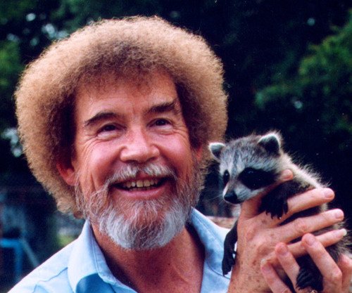 Bob Ross and a Baby Raccoon | Gentlemint