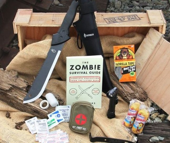 Zombie Survival Crate - Gear for The Lone Survivor | Gear | CoolPile ...