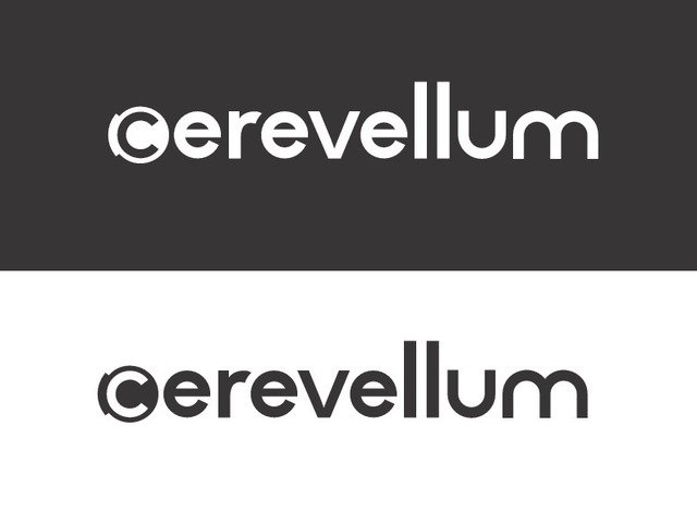 Cerevellum: The Future of Cycling Safety and Performance by Chip Adams ...