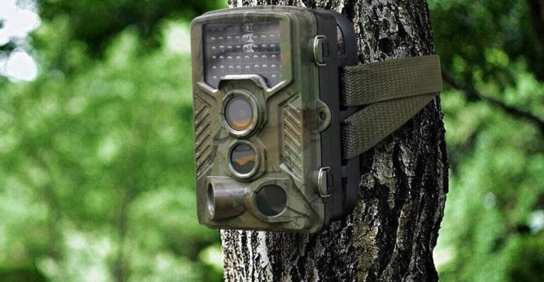Motion-Activated Night Vision Wildlife Camera | Gentlemint Reserve